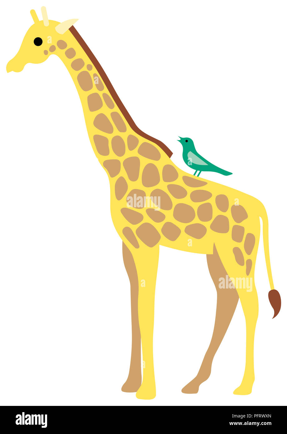 Small bird on back hi-res stock photography and images - Alamy