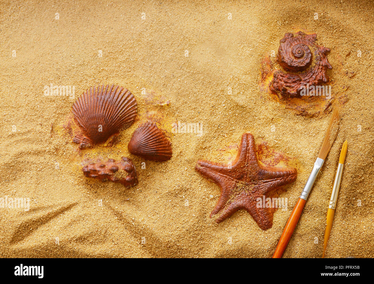 Plaster of paris fossils hi-res stock photography and images - Alamy