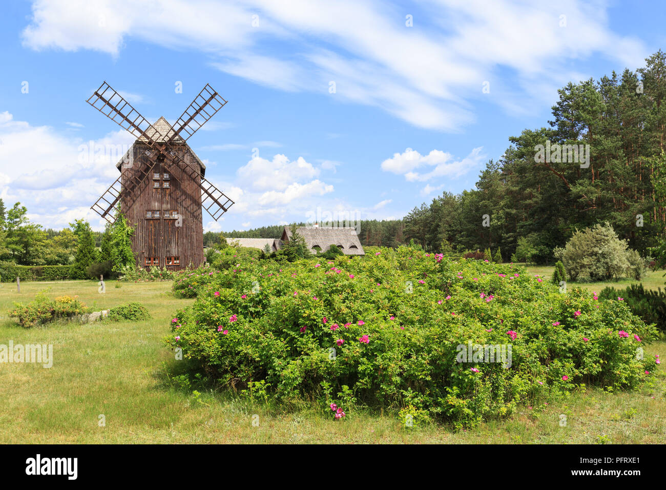 An historic wooden windmill, a type called in polish Kozlak, in past ...