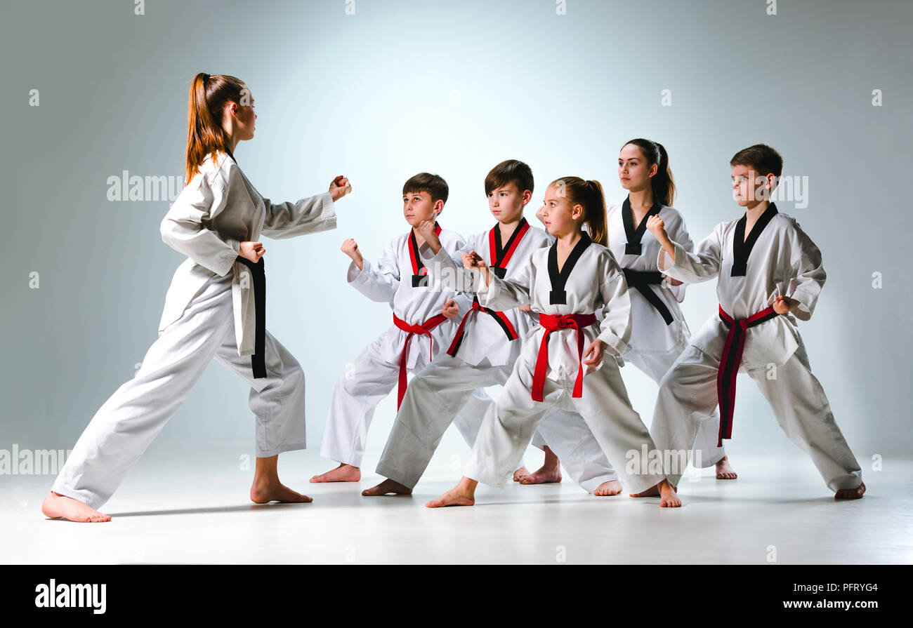 The studio shot of group of kids training karate martial arts on gray ...