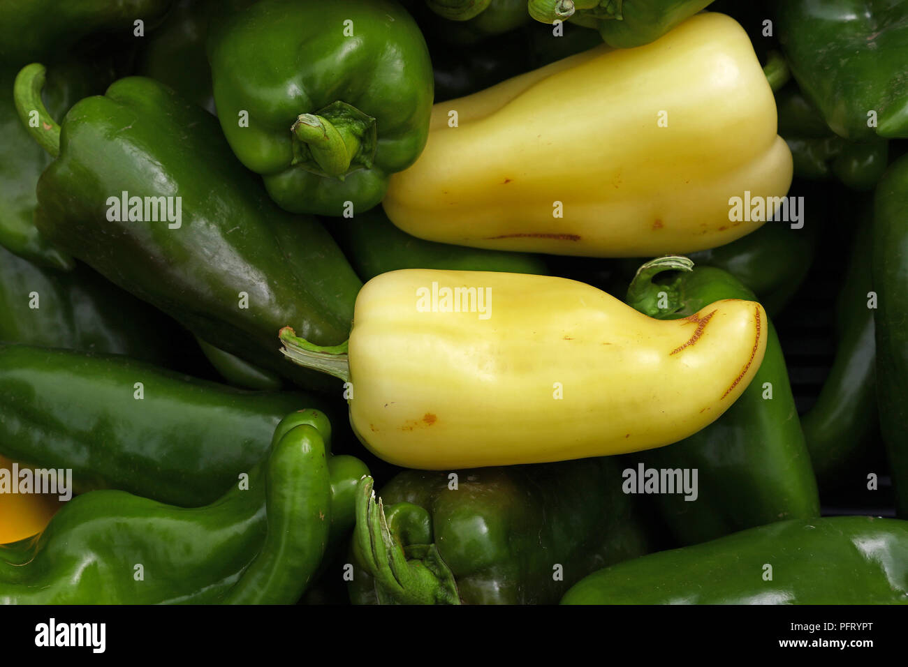 Close up background of fresh green and yellow sweet bell peppers on ...