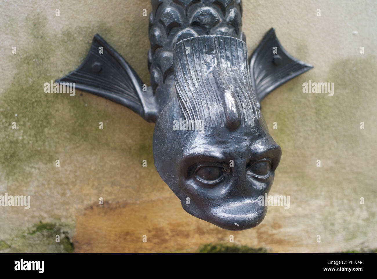 Spitting fish hi-res stock photography and images - Alamy