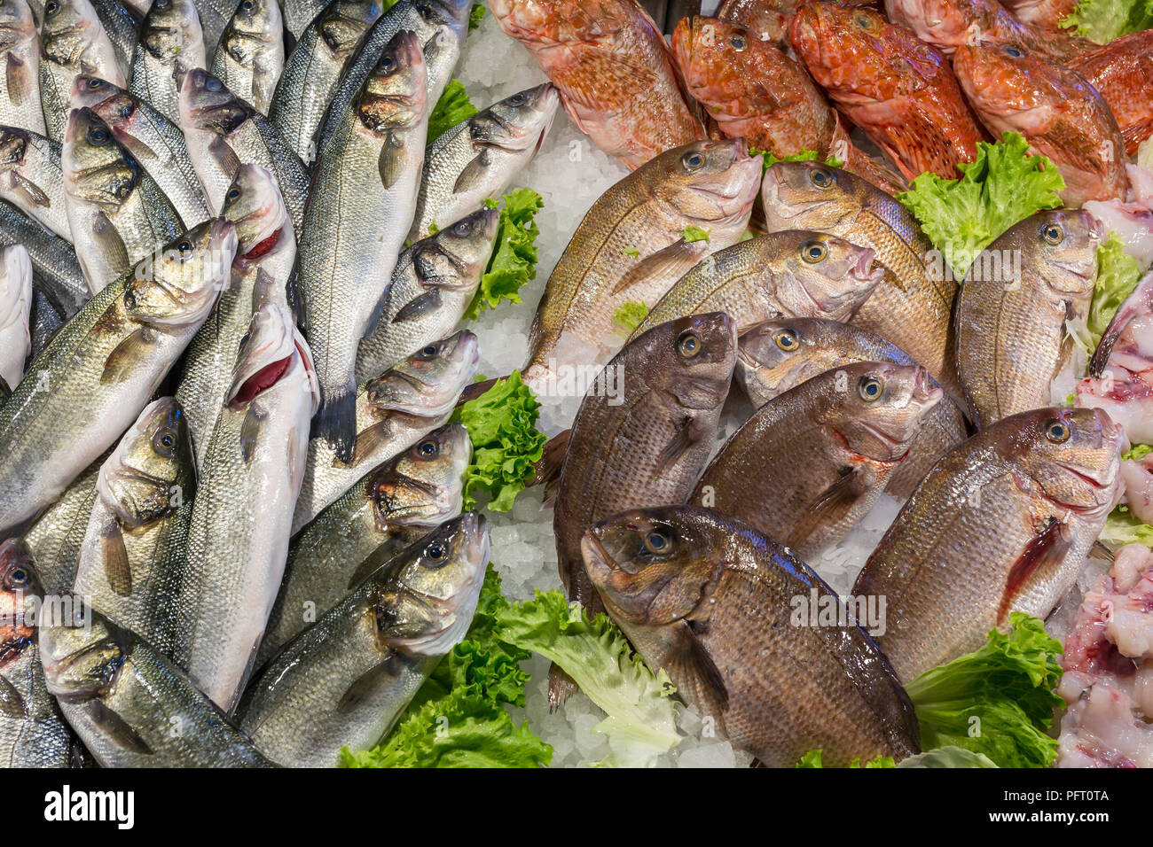 The Rialto fish market in Venice, Italy. Top view of fresh sea fish on ...