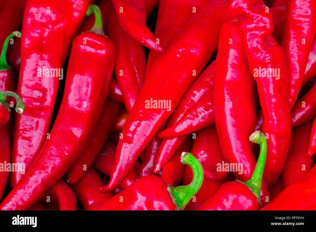 Red hot chilli peppers pattern texture background. Close up. Landscape ...