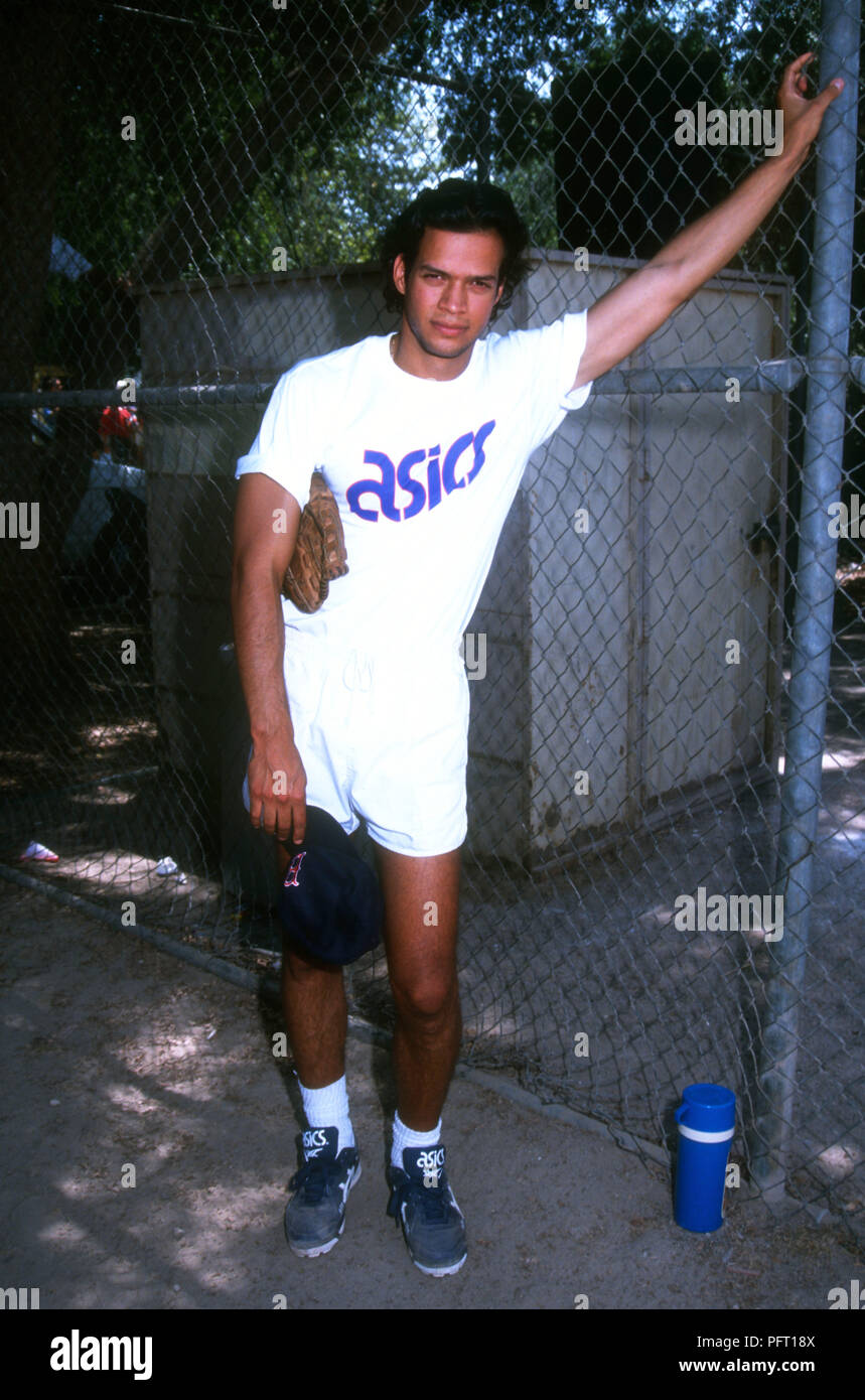 LOS ANGELES, CA - JULY 26: Actor Robert Fontaine attends a Celebrity ...