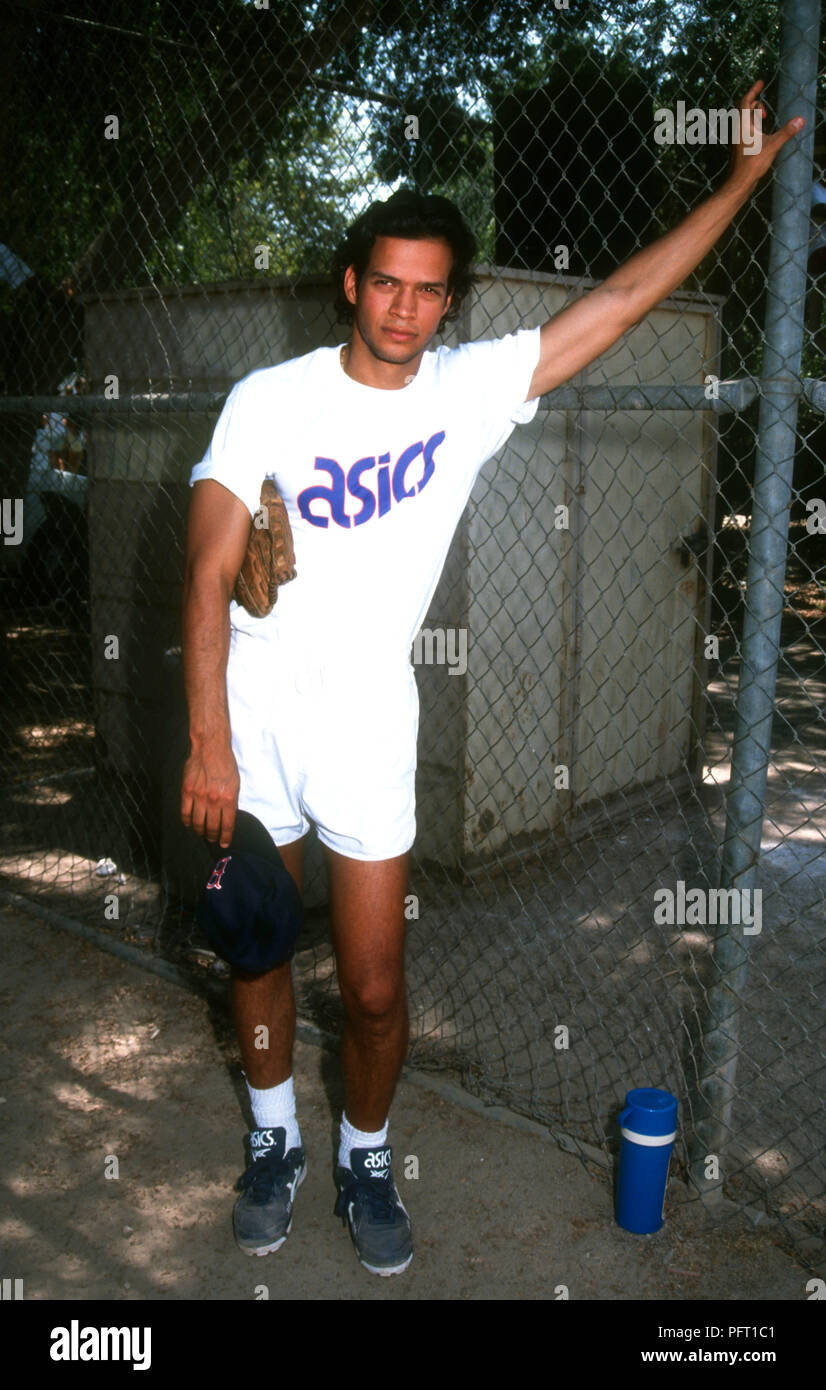 LOS ANGELES, CA - JULY 26: Actor Robert Fontaine attends a Celebrity ...