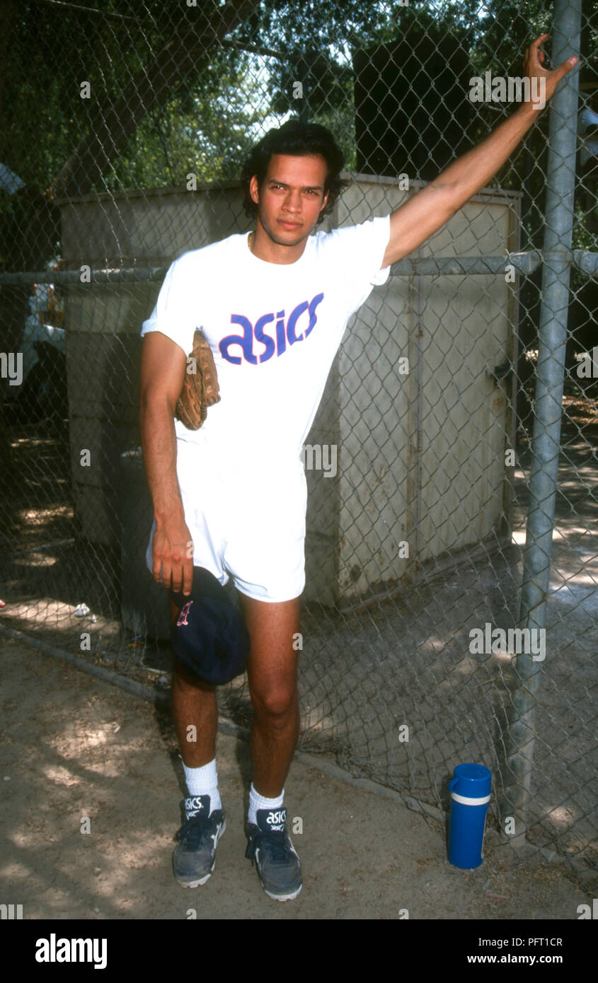 LOS ANGELES, CA - JULY 26: Actor Robert Fontaine attends a Celebrity ...