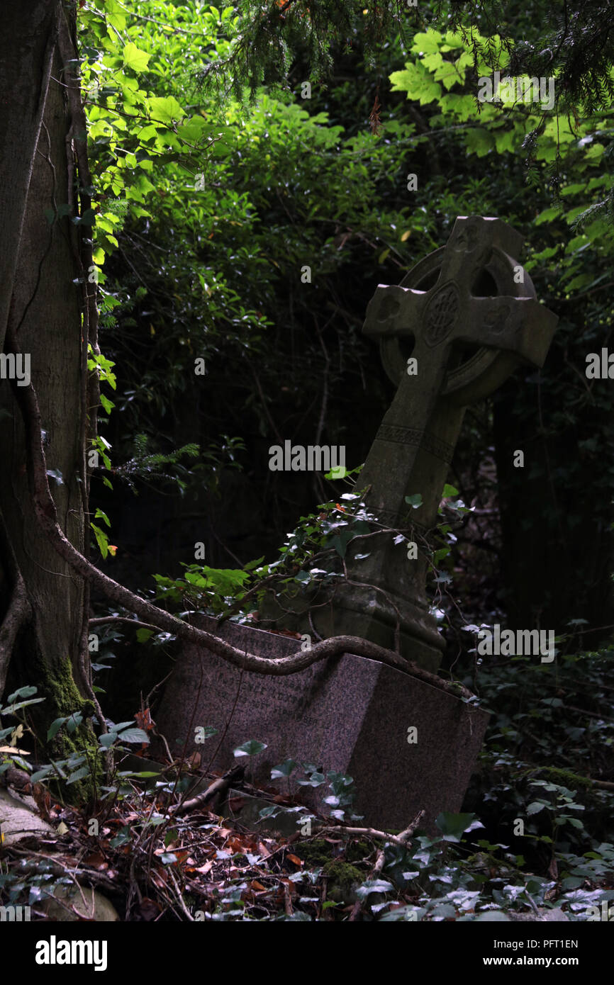 Overgrown headstone arnos vale cemetery hi-res stock photography and ...