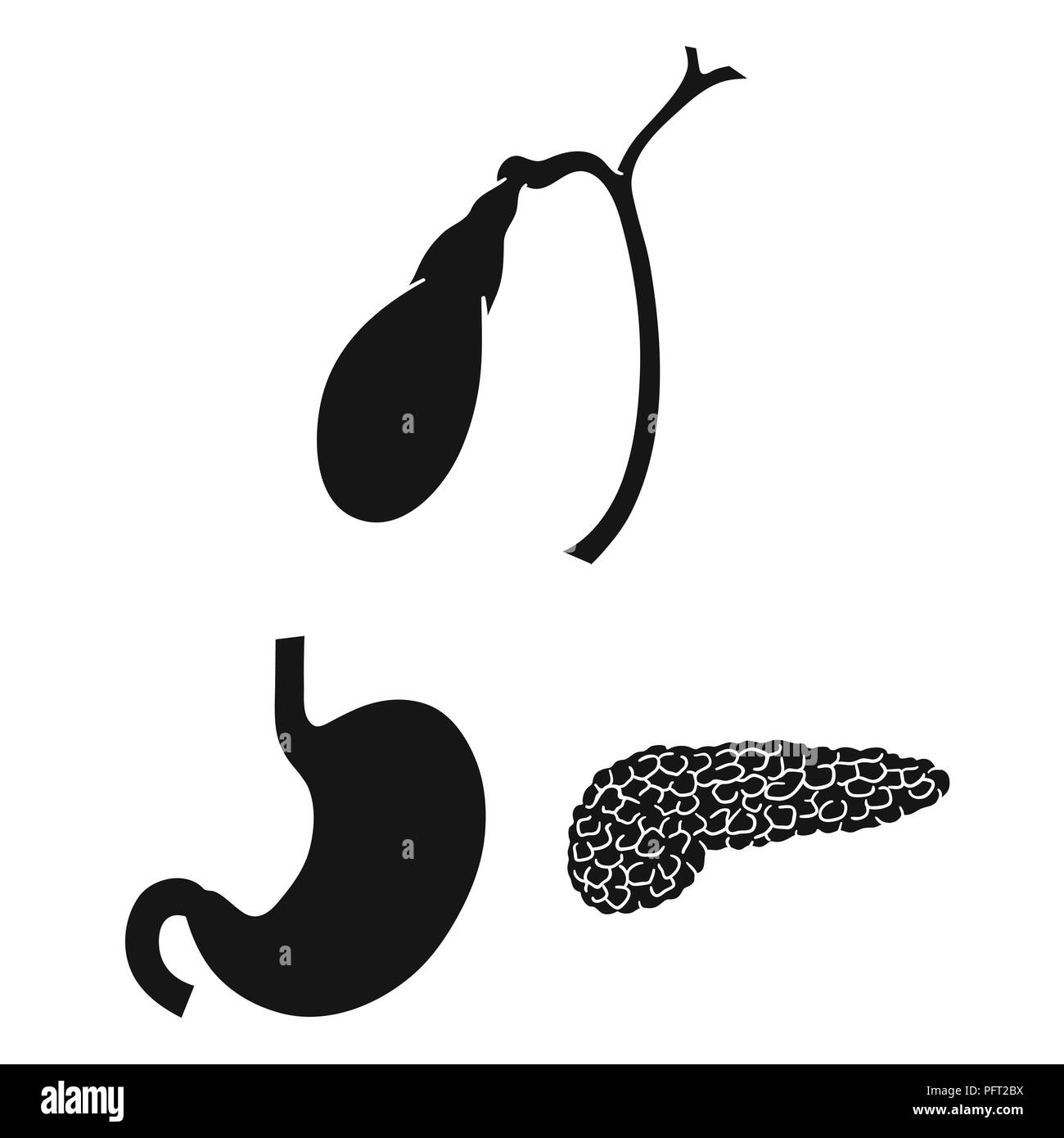 Human organs black icons in set collection for design. Anatomy and ...