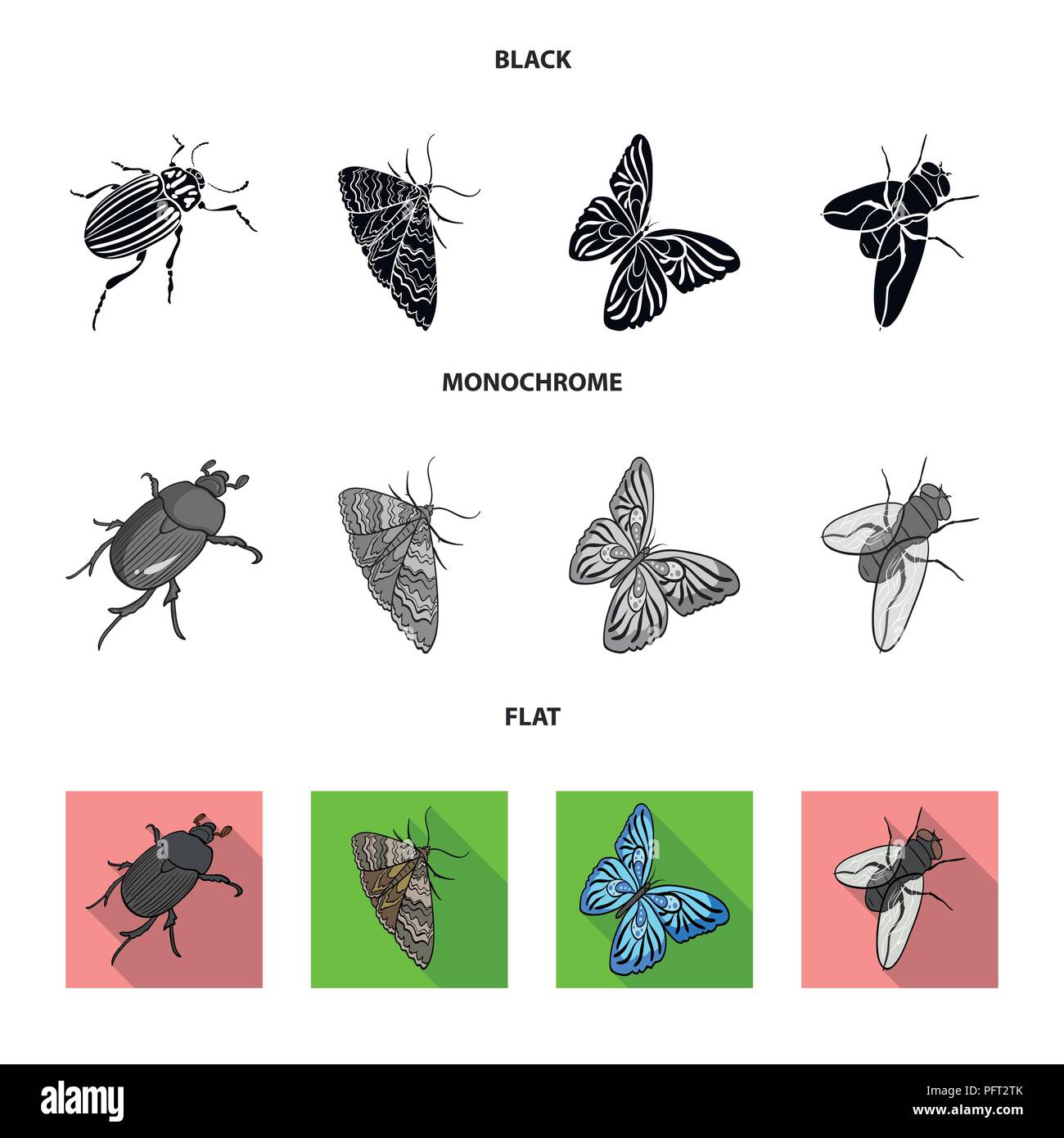Arthropods insect beetle, moth, butterfly, fly. Insects set collection ...