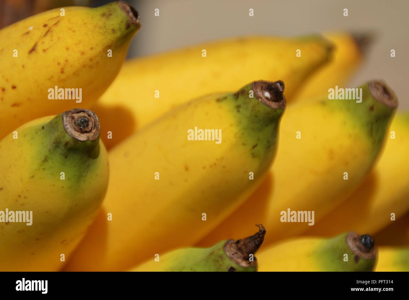 a close up of bananas Stock Photo - Alamy