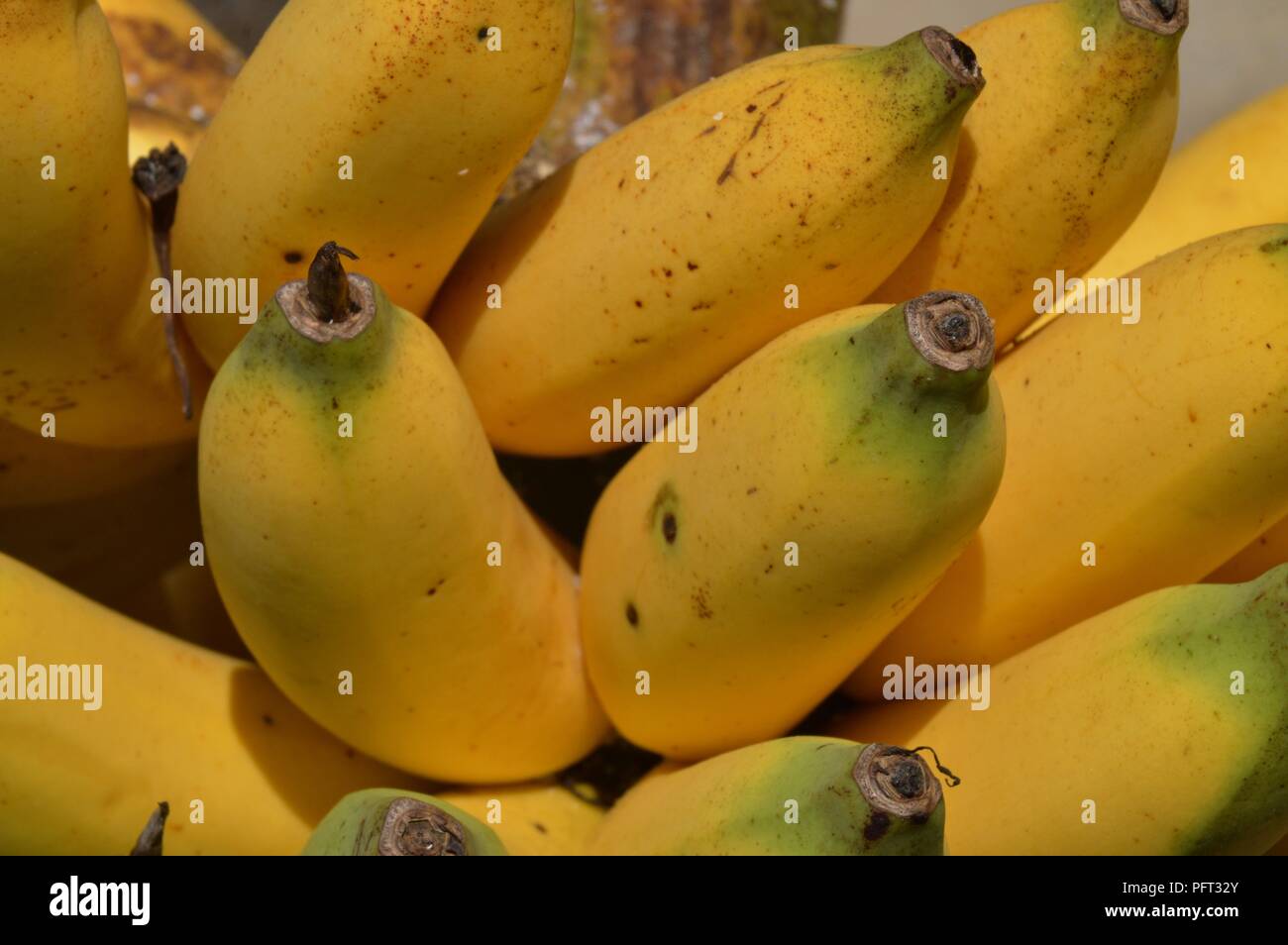 a close up of bananas Stock Photo - Alamy