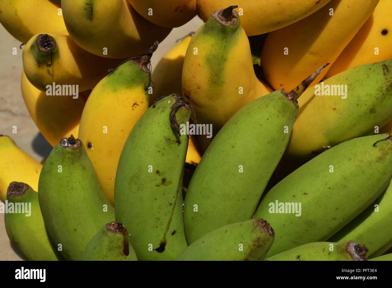 a close up of bananas Stock Photo - Alamy
