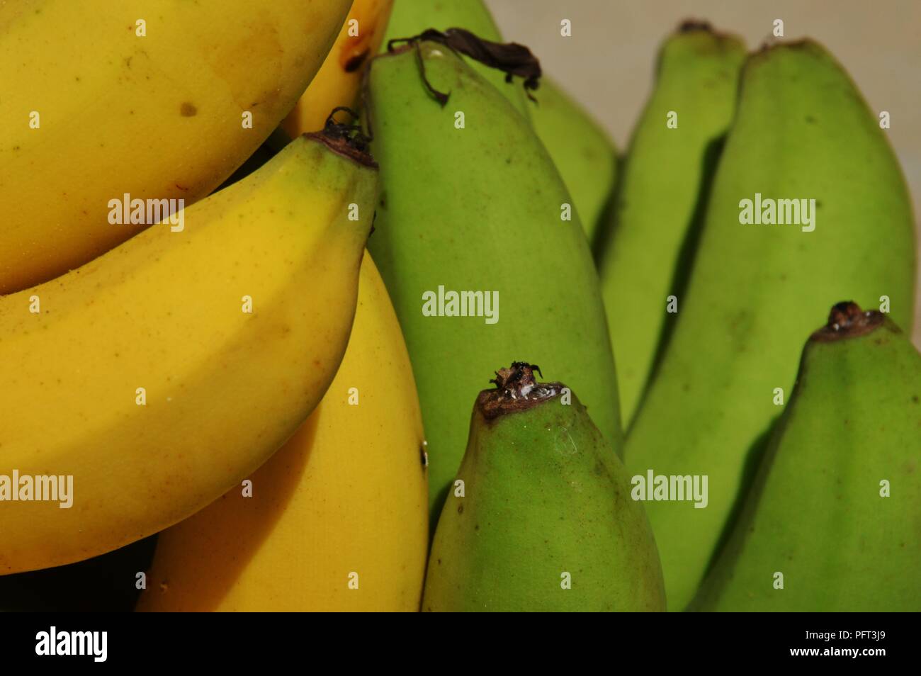 a close up of bananas Stock Photo - Alamy