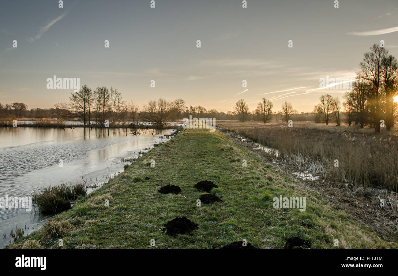 Dutch dike, water and sunset Stock Photo - Alamy