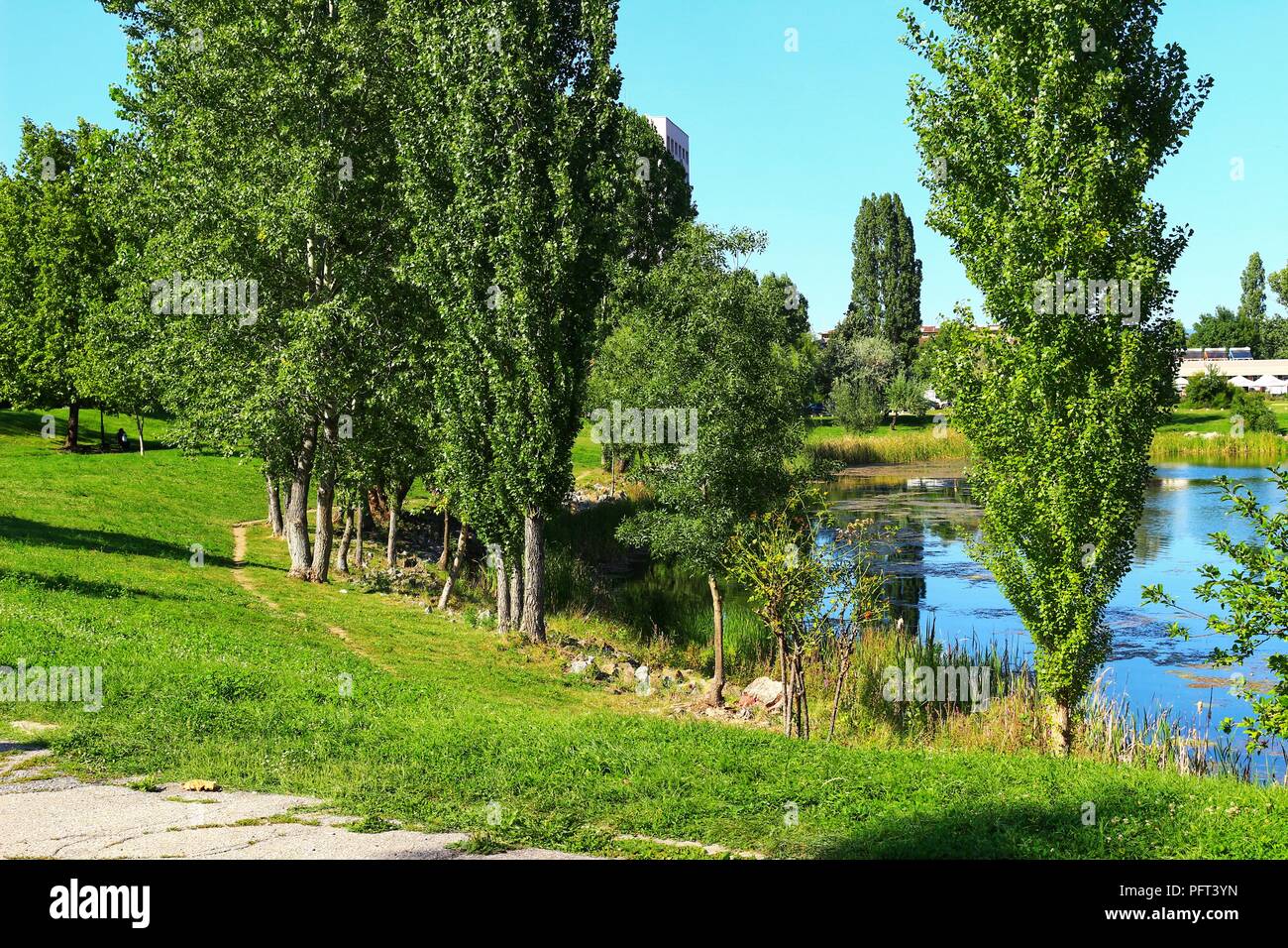 City park landscape green trees hi-res stock photography and images - Alamy