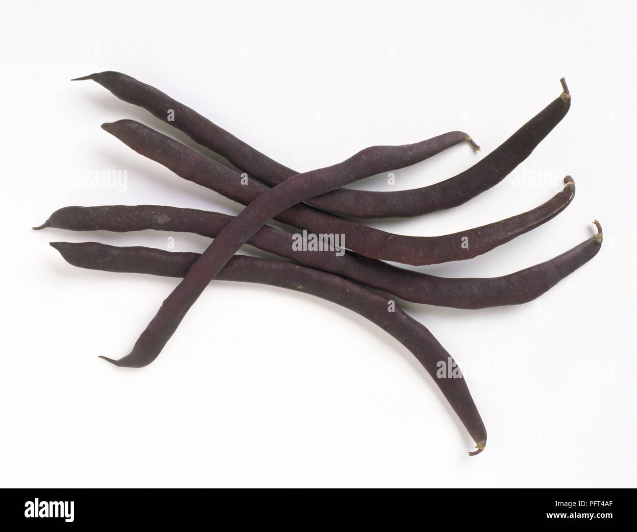 Purple podded french beans hi-res stock photography and images - Alamy