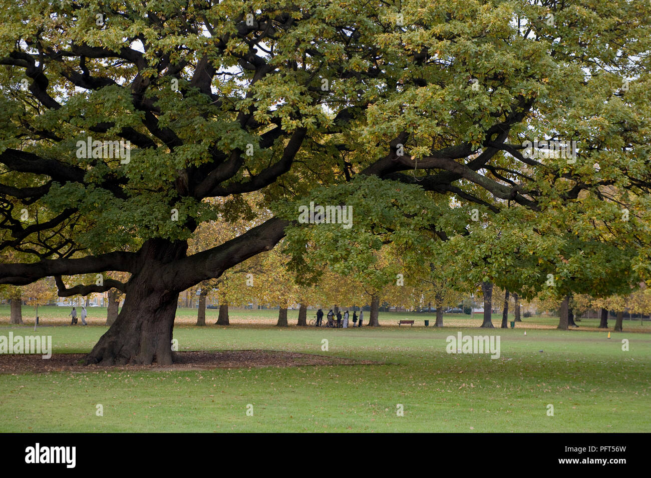 Bruce castle park london hi-res stock photography and images - Alamy