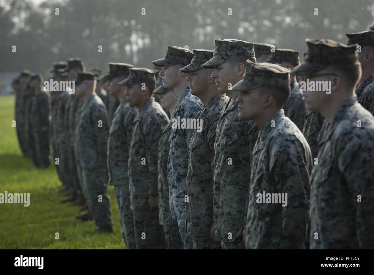 U.S. Marines with 2nd Assault Amphibian Battalion, 2nd Marine Division ...