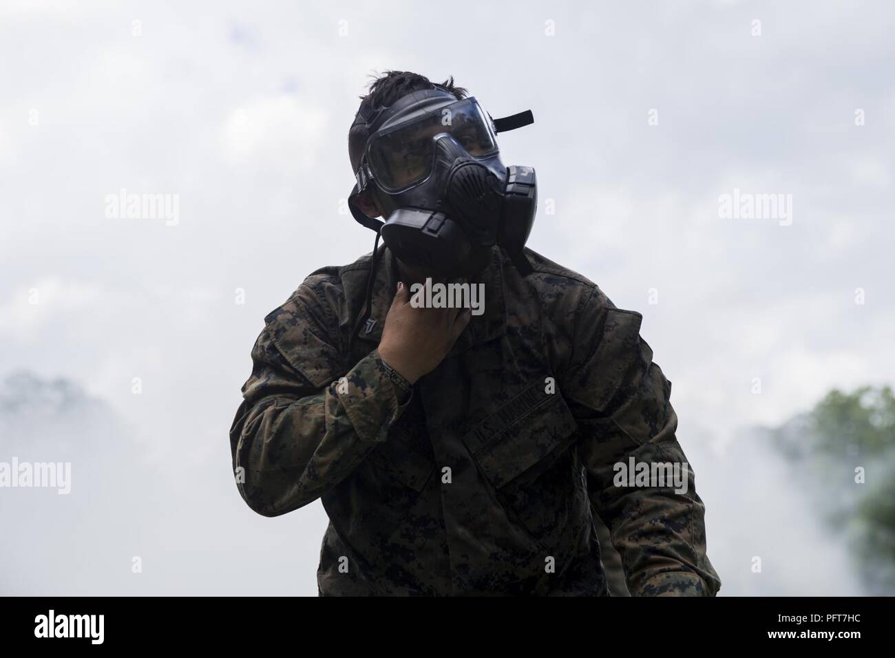 U.S. Marine Corps Cpl. Ruben Flores with Bridge Company, 8th Engineer ...