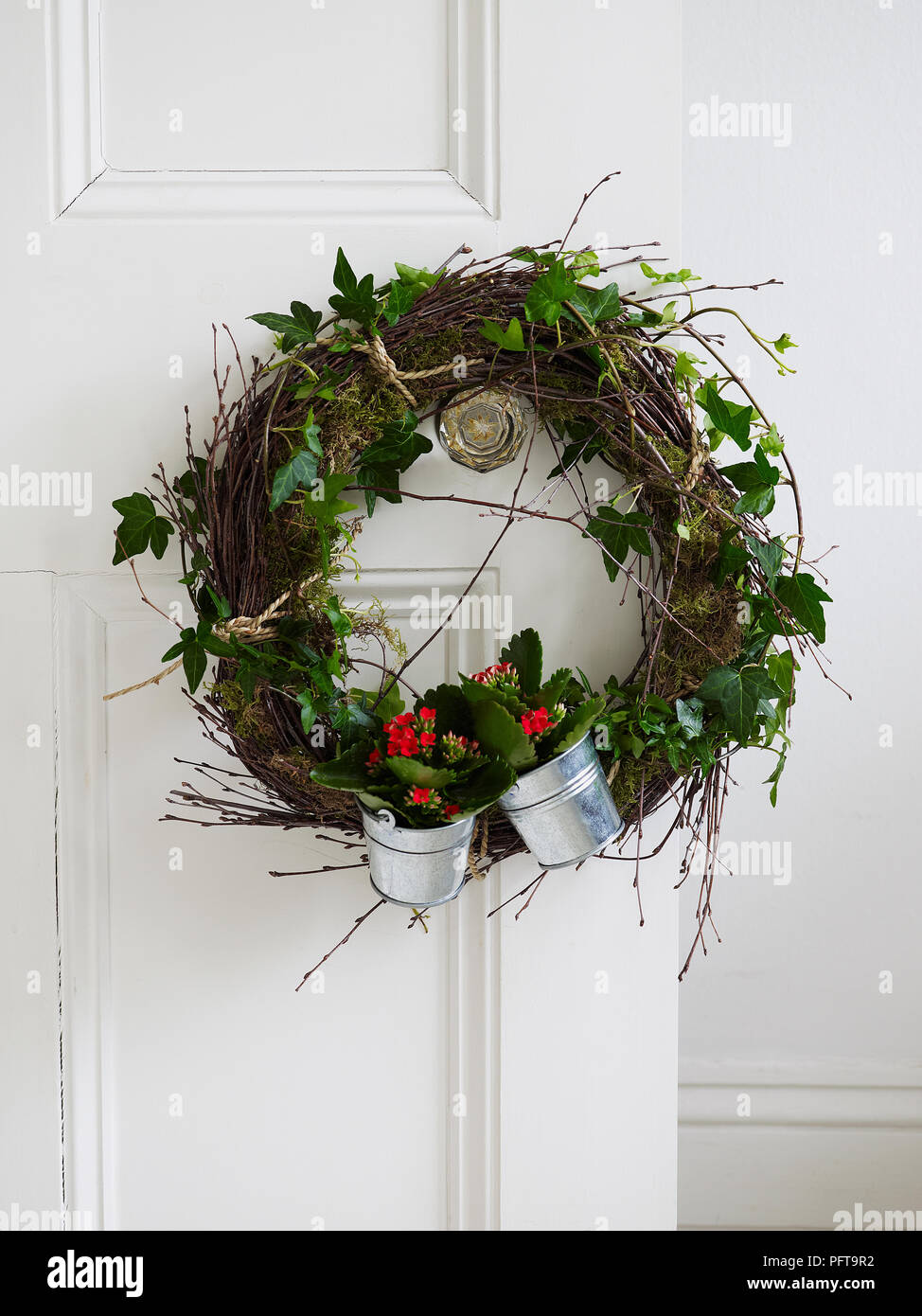 Seasonal wreath, birch twigs, trailing ivy, kalanchoe in pots, and moss ...