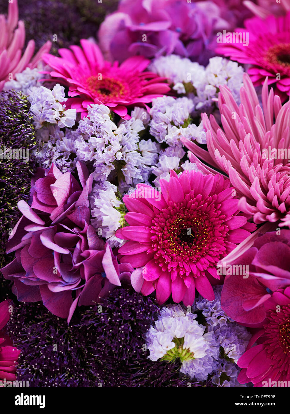 Lilac flower arrangement, germini, chrysanthemum, trachelium, statice ...