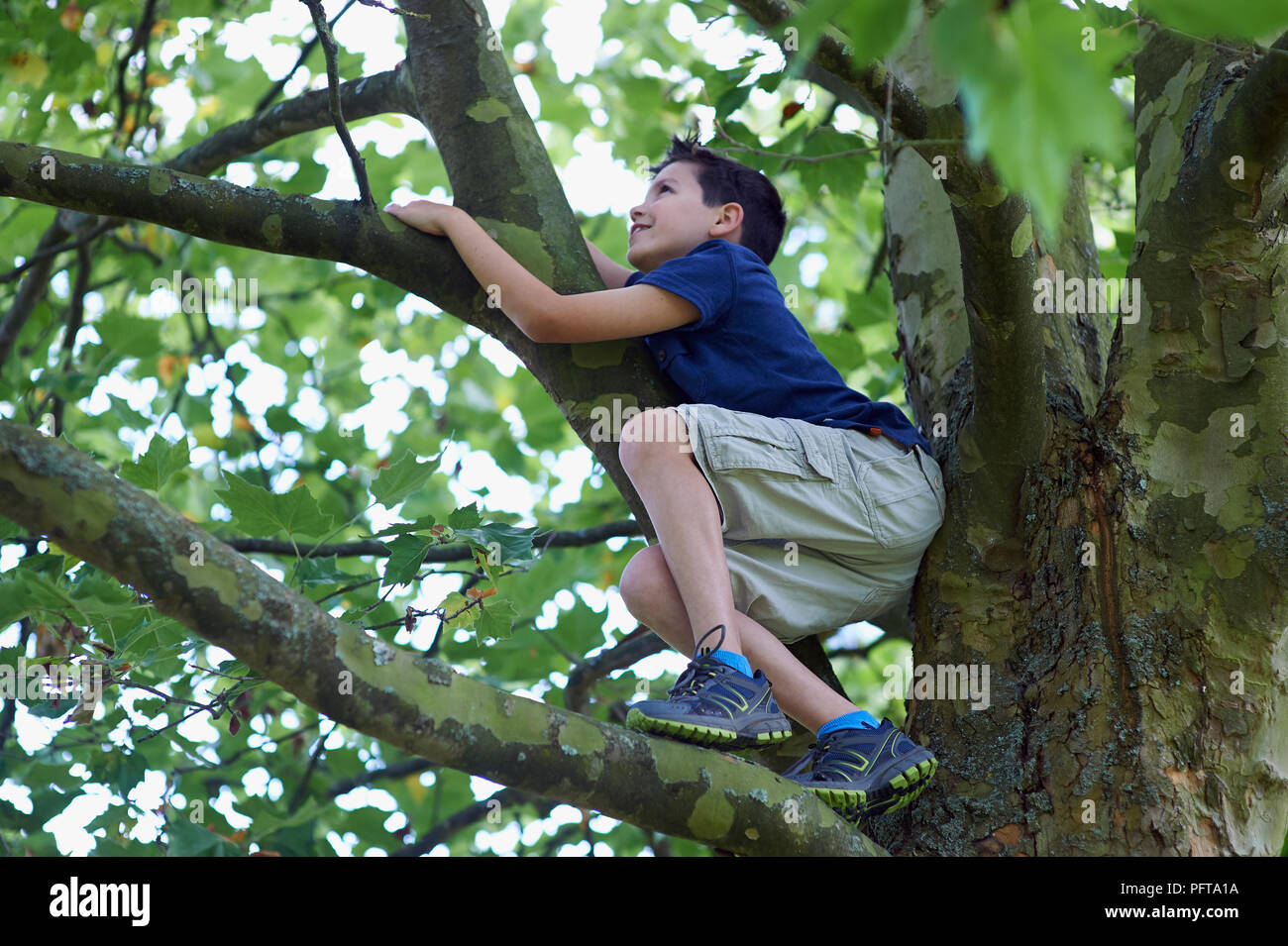 Black hair boy hi-res stock photography and images - Alamy