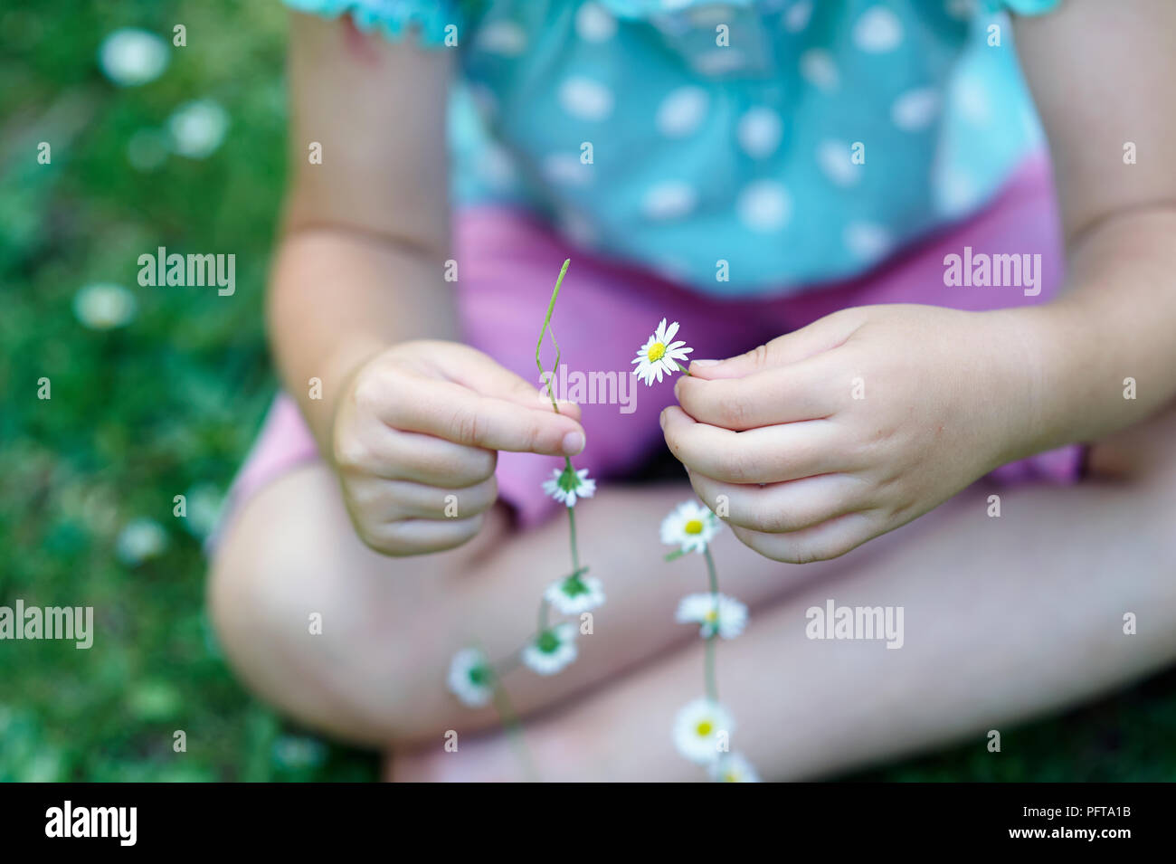 Daisy chain hi-res stock photography and images - Alamy