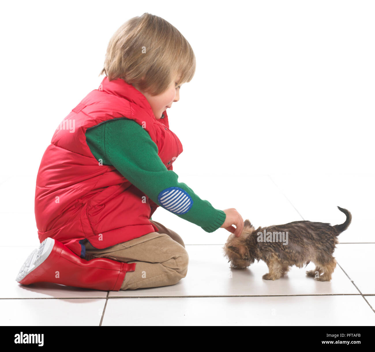 Owner dog puppy playing Cut Out Stock Images & Pictures - Alamy