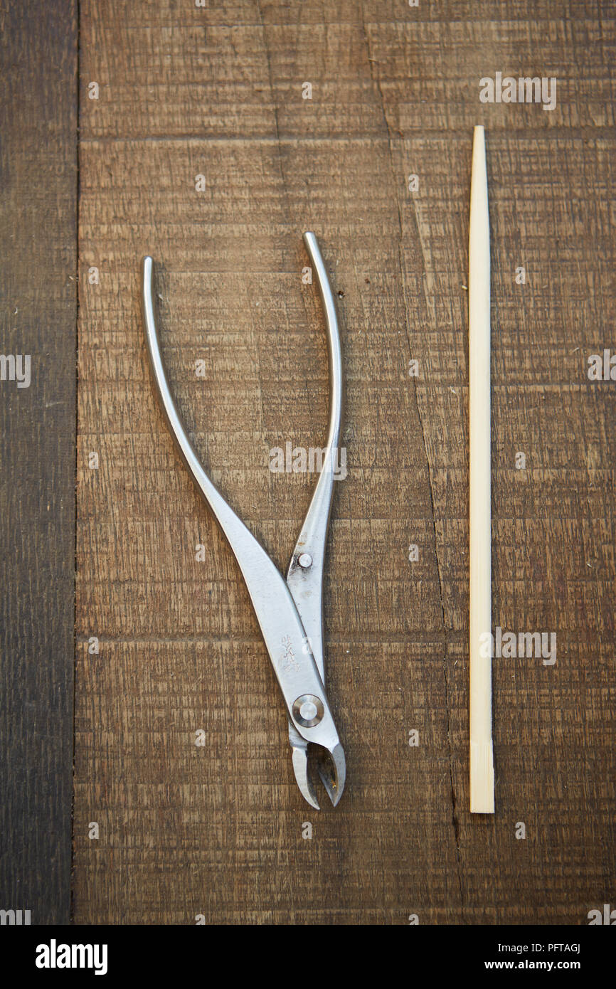 Chopstick and branch cutter, bonsai gardening tools Stock Photo - Alamy