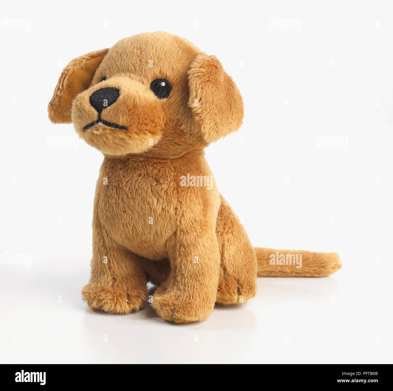 Brown dog soft toy Stock Photo - Alamy