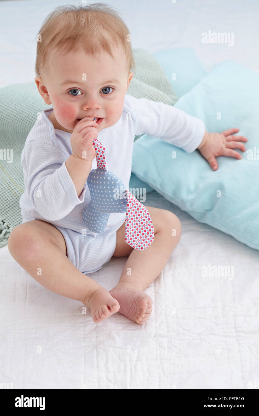 Baby boy chewing on rattle soft toy, 11 months Stock Photo - Alamy
