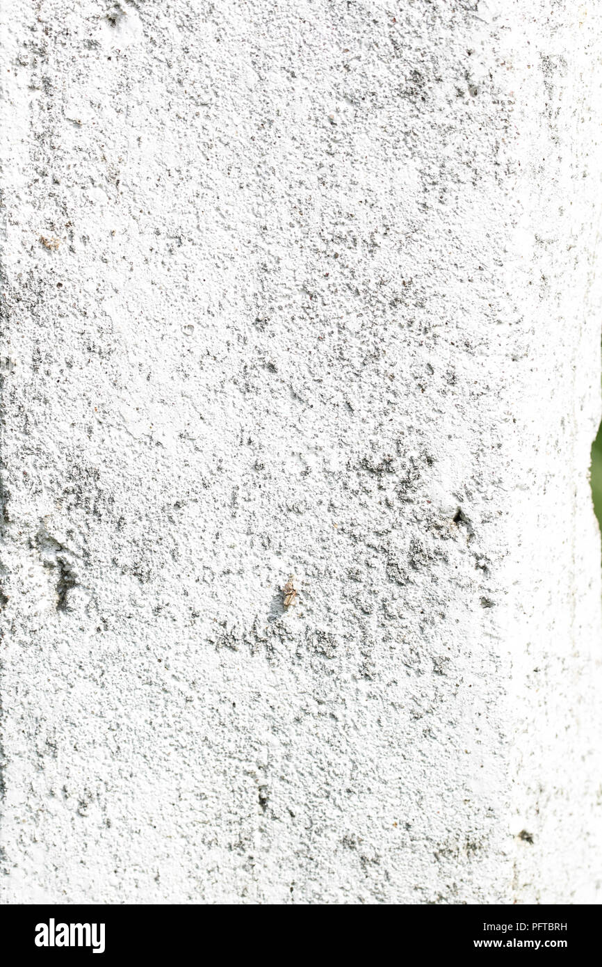 cement block painted white, background Stock Photo - Alamy