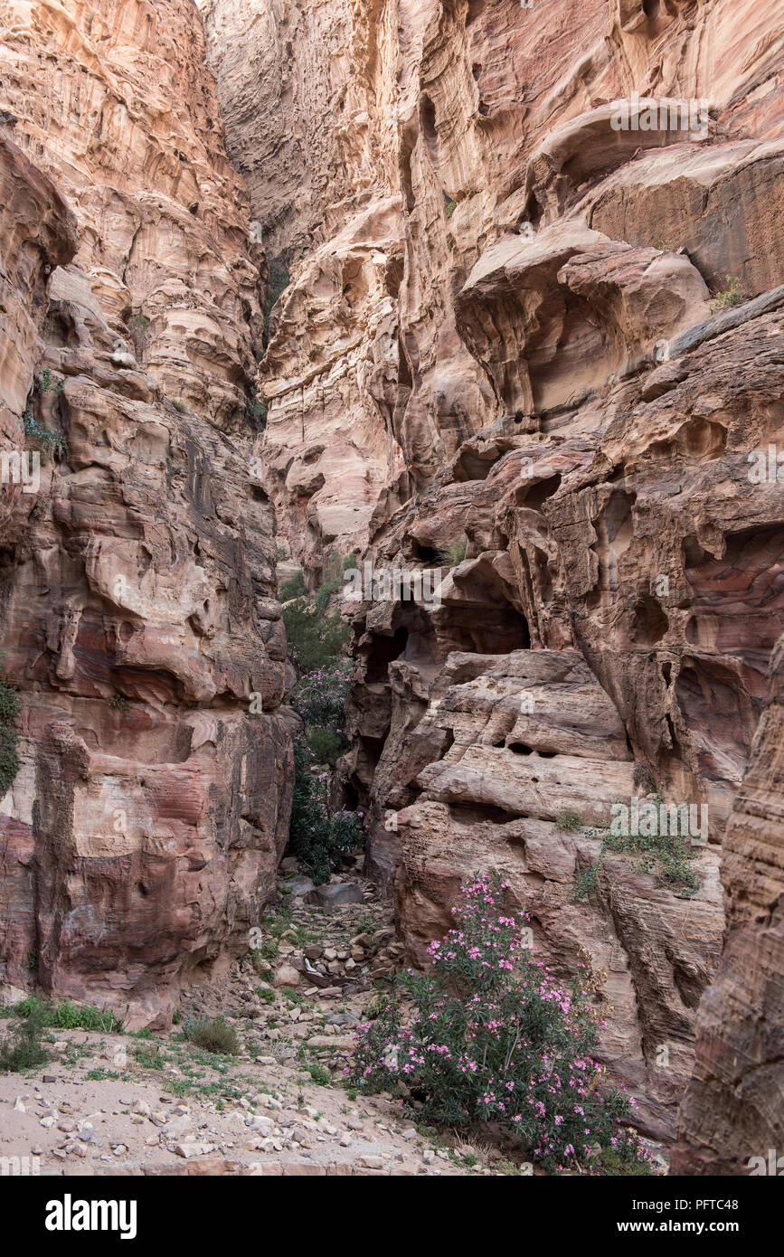 Ancient ruins, Nabatean city of Petra, Jordan Stock Photo - Alamy
