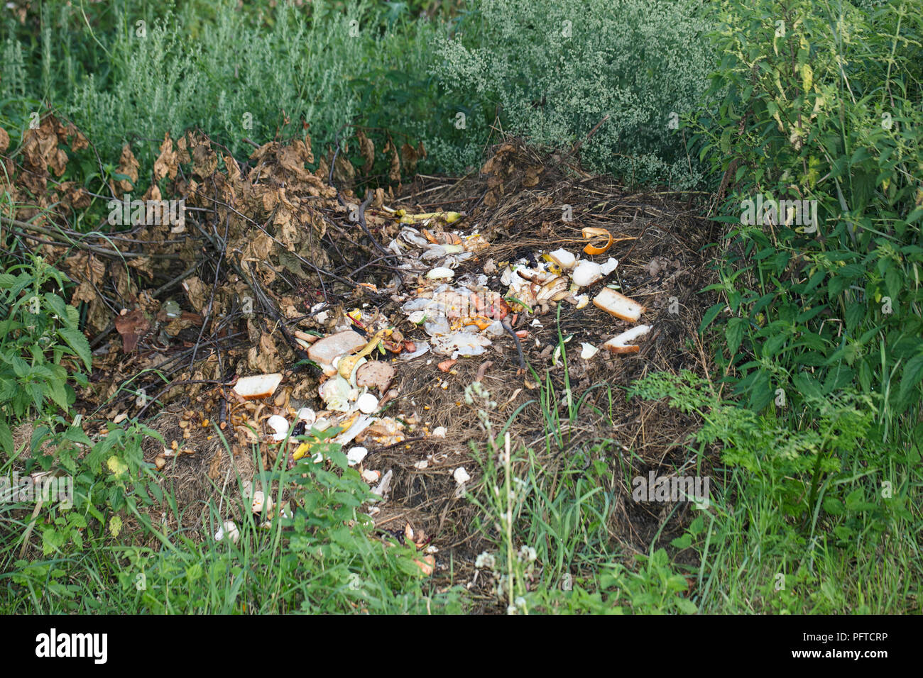 food waste as the basis for compost Stock Photo - Alamy