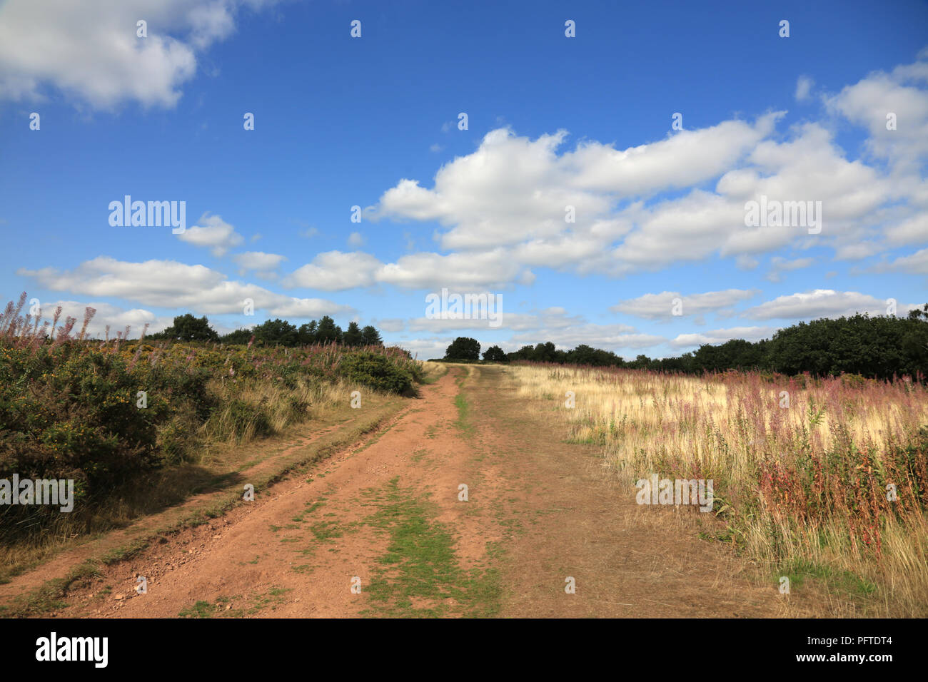 Walton hill, the highest point of the Clent hills in Worcestershire ...