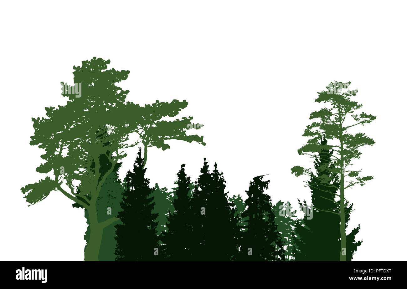 Paper Trendy Flat Trees Set Vector Illustration Stock Vector Image ...