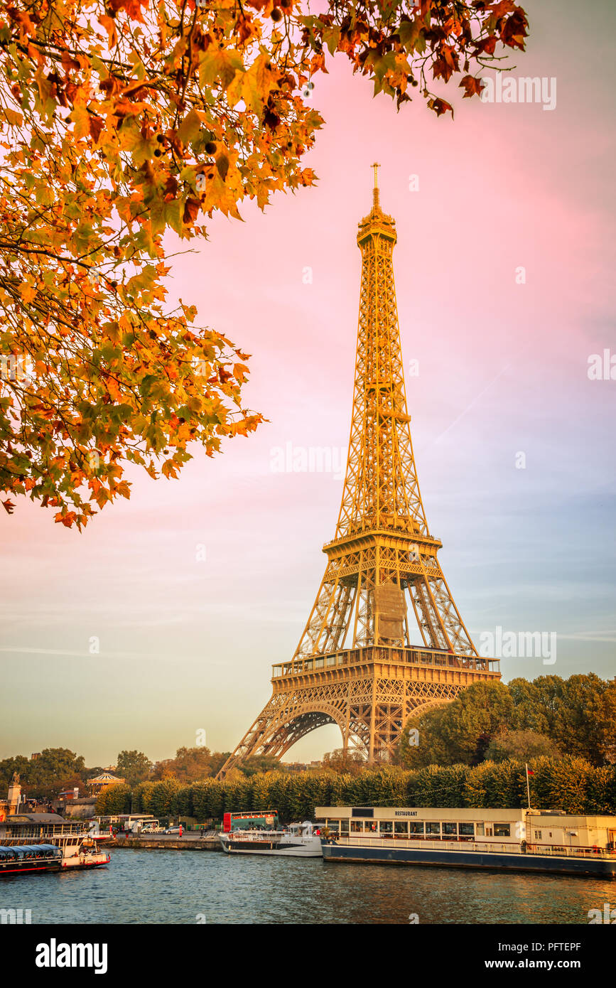 Pink trees paris hi-res stock photography and images - Alamy