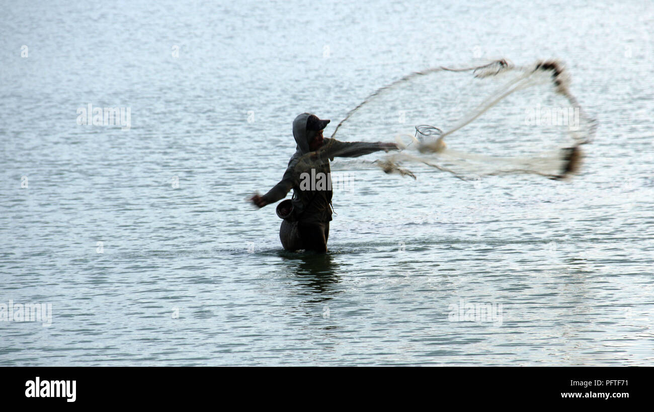 Commercial fish pond hi-res stock photography and images - Alamy