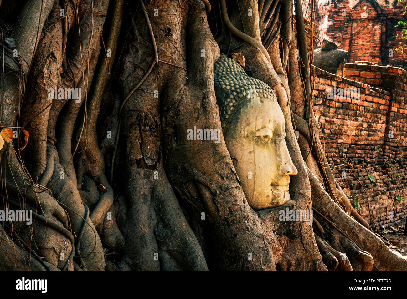 Buddha Head Side View