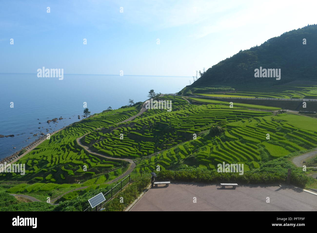 Japanese rice terrace hi-res stock photography and images - Alamy
