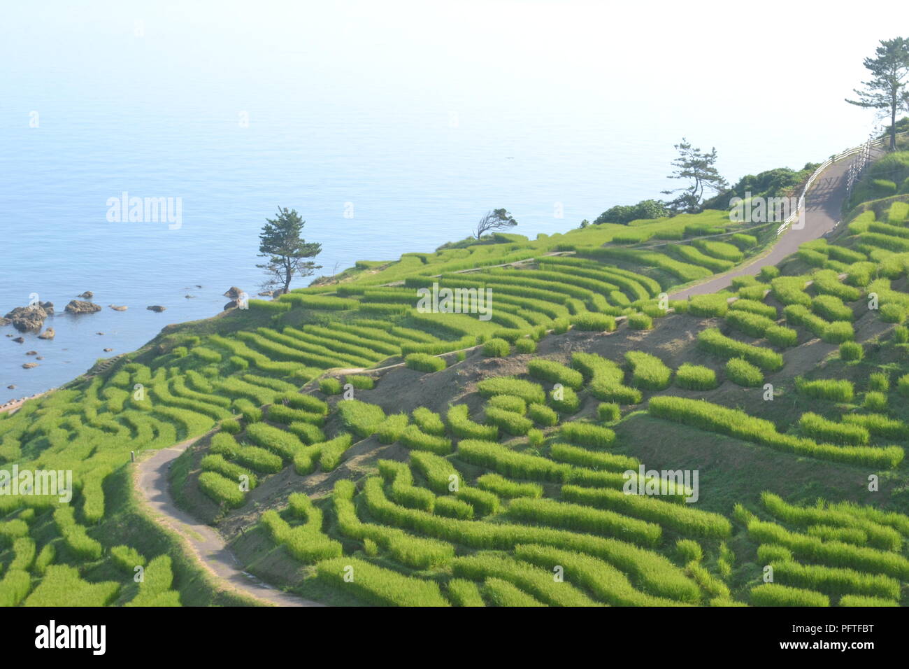Senmaida rice terraces in Japan Stock Photo - Alamy