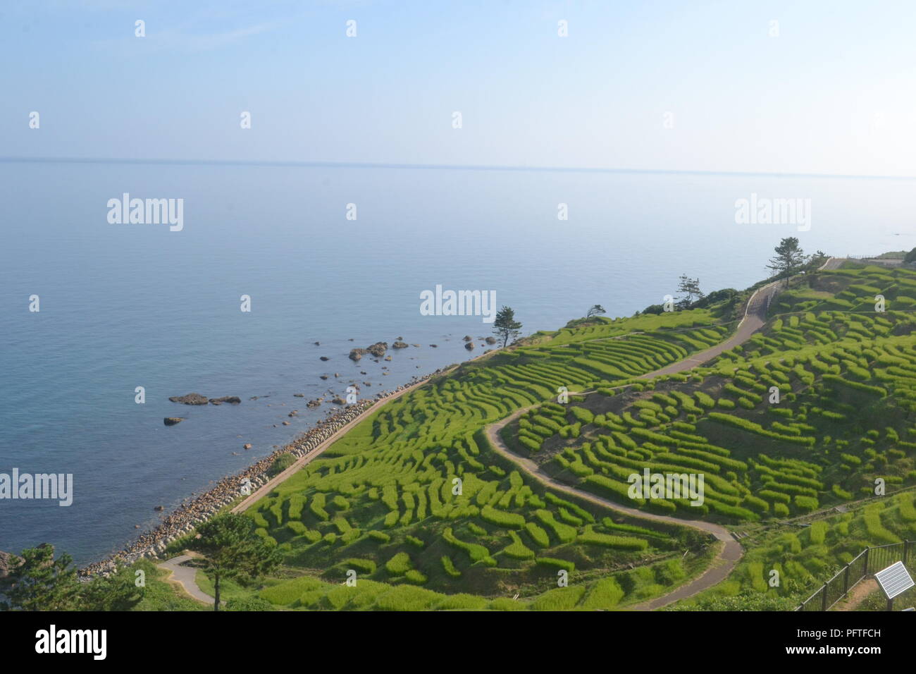 Japanese rice terraces hi-res stock photography and images - Alamy