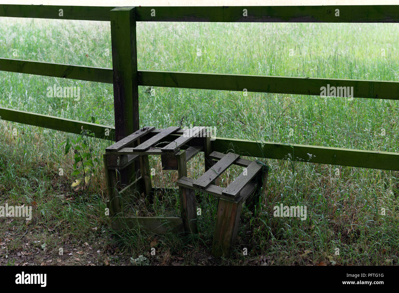 Meadow step hi-res stock photography and images - Alamy