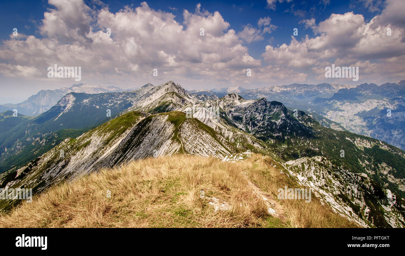 Top of mount Vogel in the Triglav National Park Stock Photo - Alamy