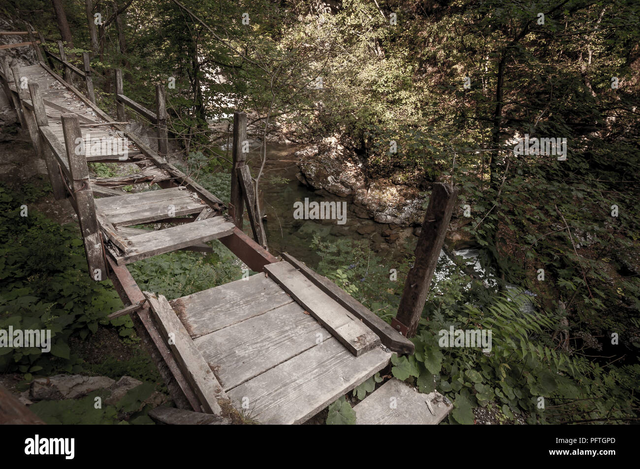 Bridge To Terabithia Broken Rope