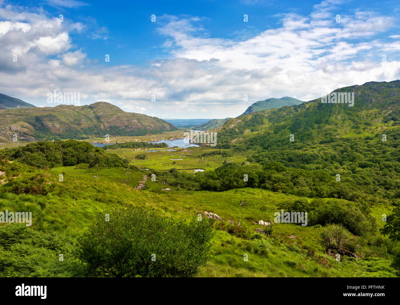 The Lakes of Killarney as seen from Ladies View. Ring of Kerry Stock ...