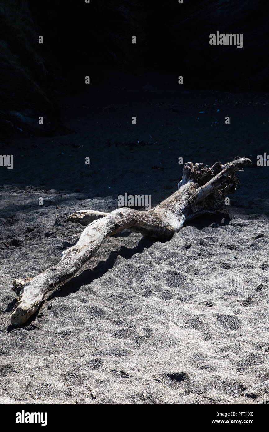 Large driftwood log hi-res stock photography and images - Alamy