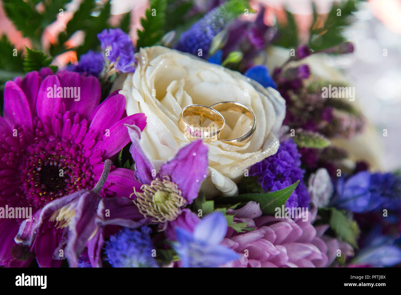 Groom with bride fitting hi-res stock photography and images - Alamy