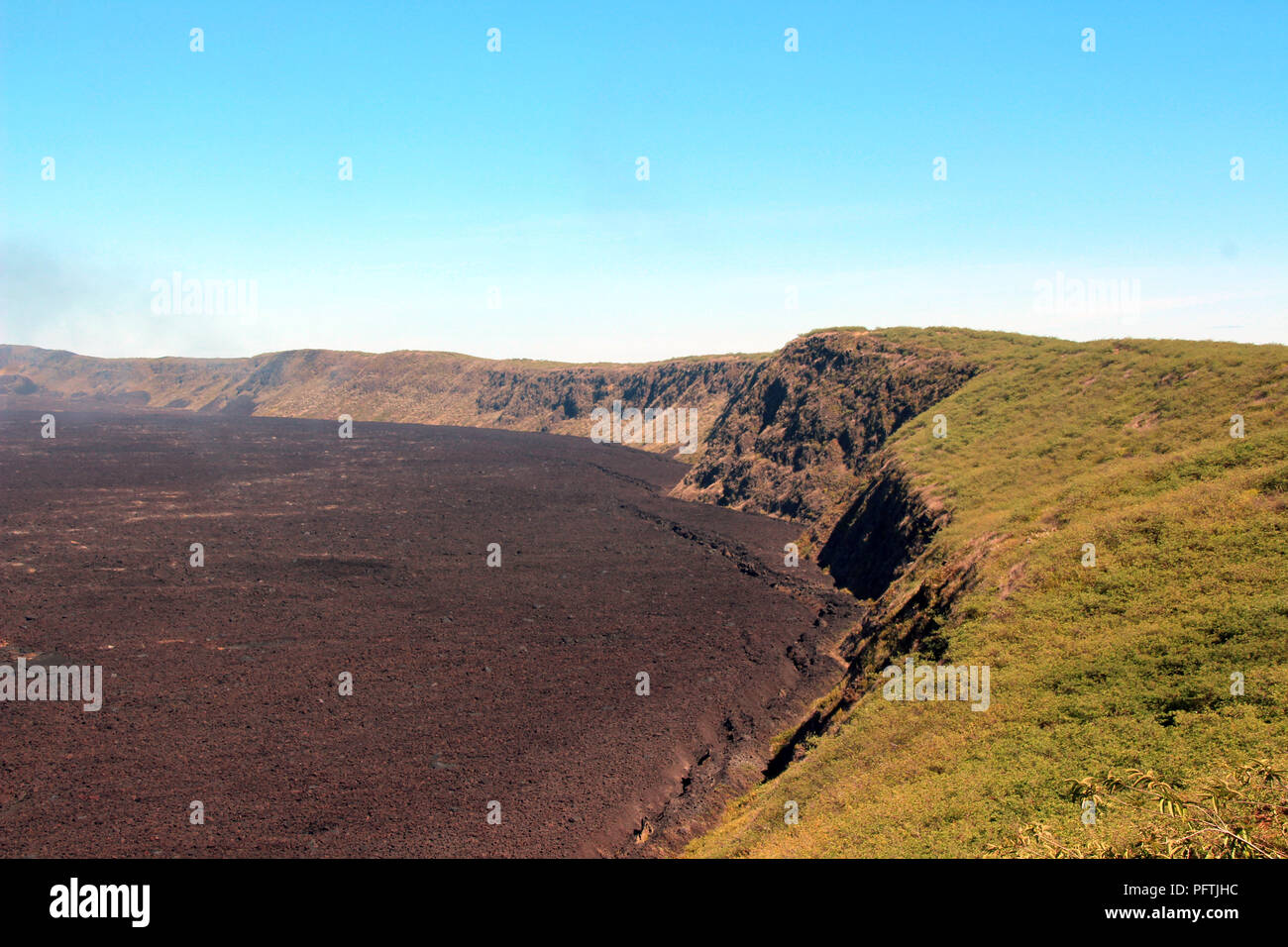 Shiny Fur High Resolution Stock Photography and Images - Alamy